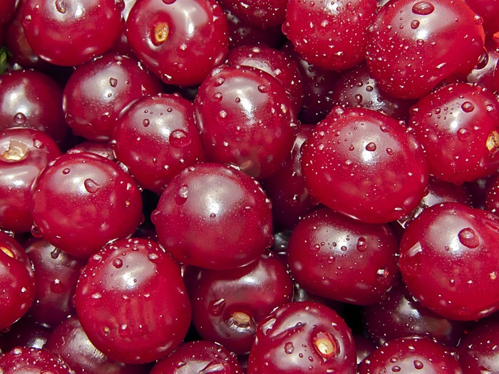 Organic sour cherries :: botesz.hu